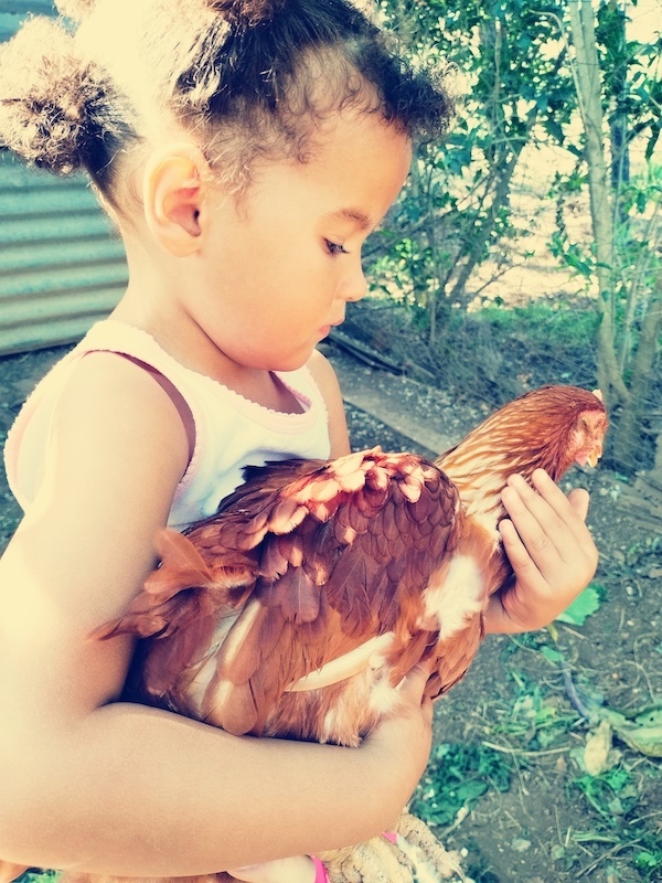 Bonakude – Community Agro-Eco Farm: Food & People Growth